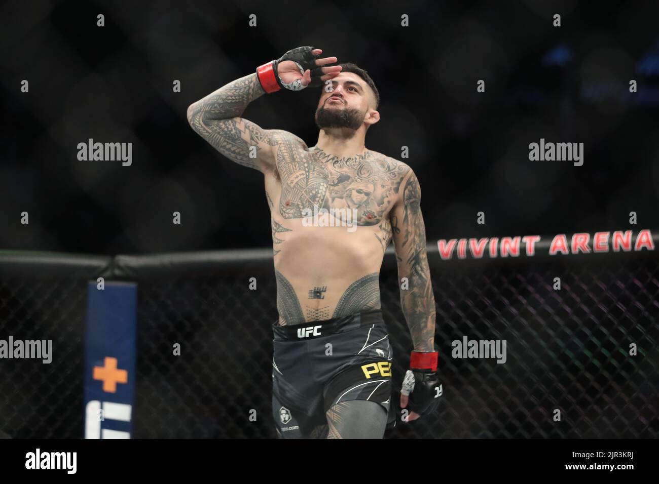 SALT LAKE CITY, UT - AUGUST 20: Tyson Pedro and Harry Hunsucker meet in ...