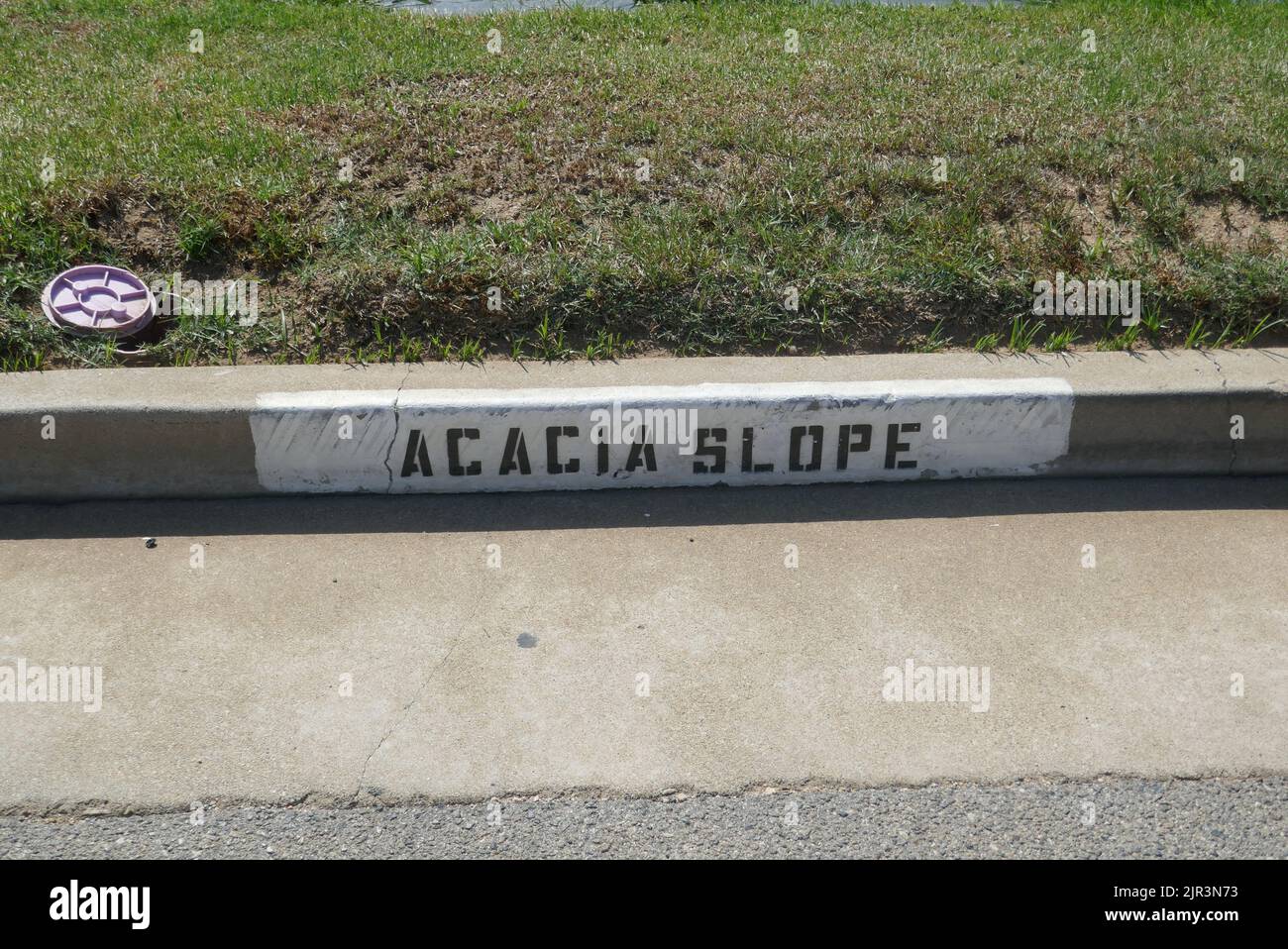 Inglewood, California, USA 19th August 2022 MLB Baseball Player Al ...