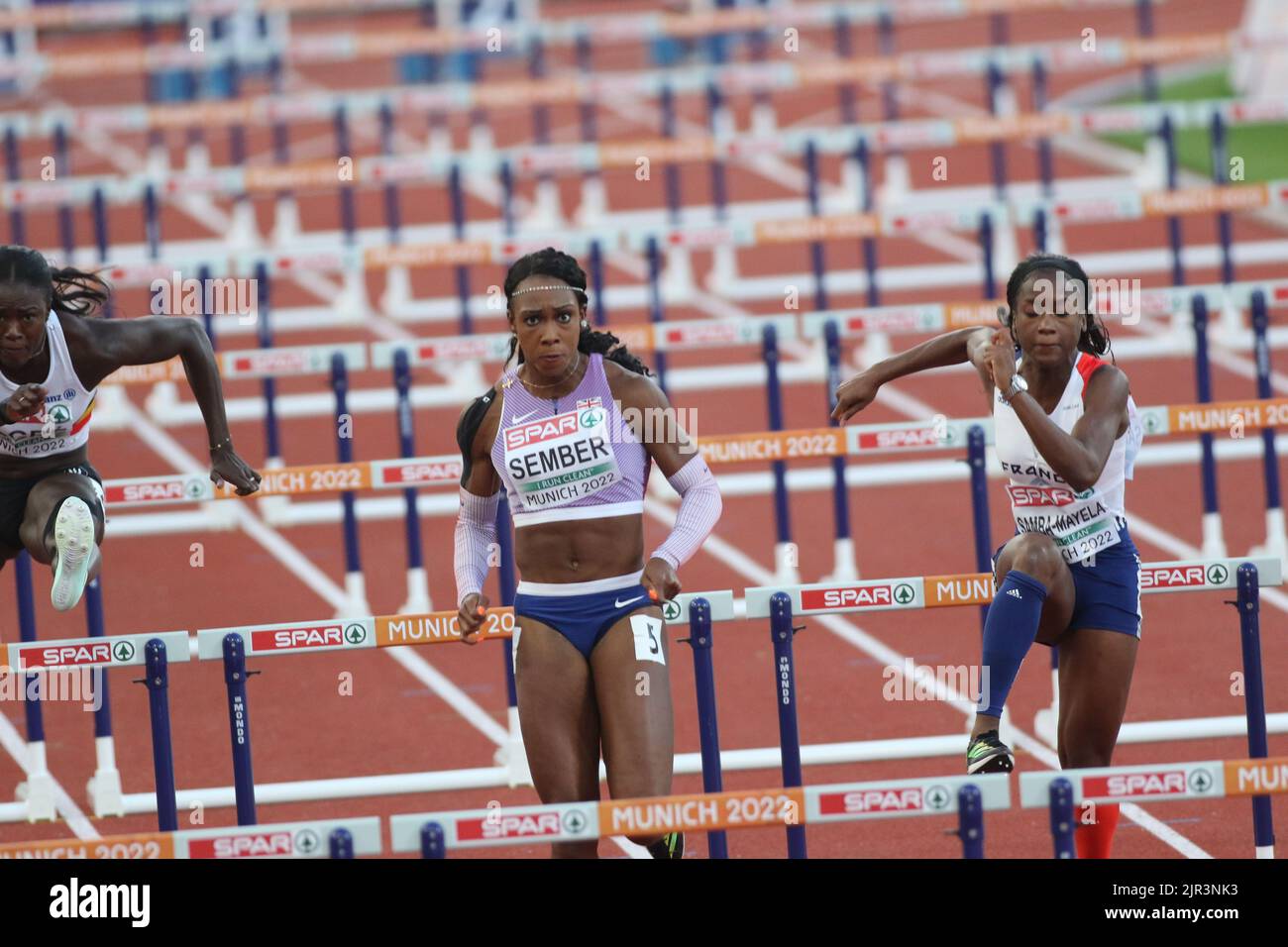 Belgian zagre anne hi-res stock photography and images - Alamy
