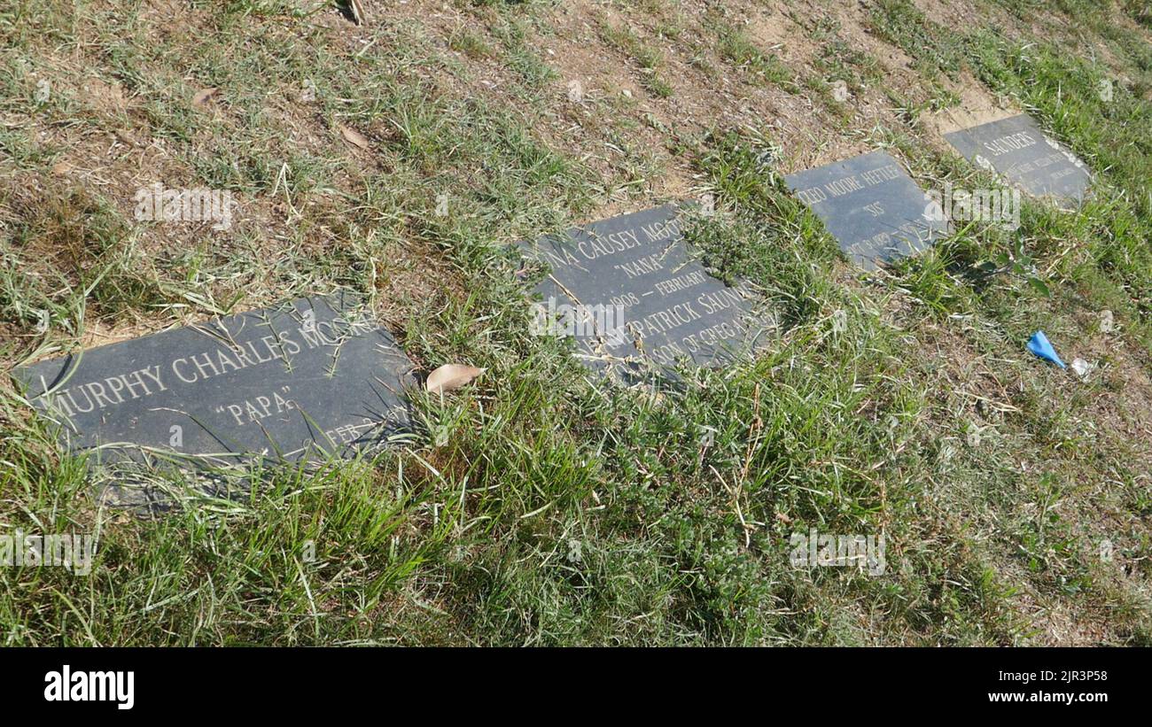 Inglewood, California, USA 19th August 2022 Actress Cleo Moore's Grave ...