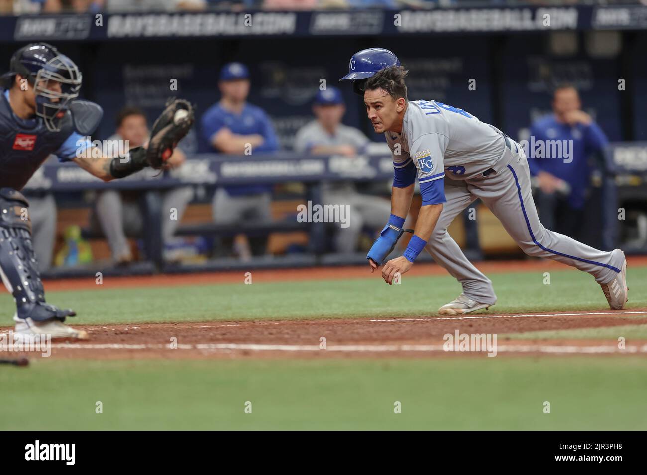 St. Petersburg, FL. USA; Kansas City Royals second baseman Nicky Lopez ...