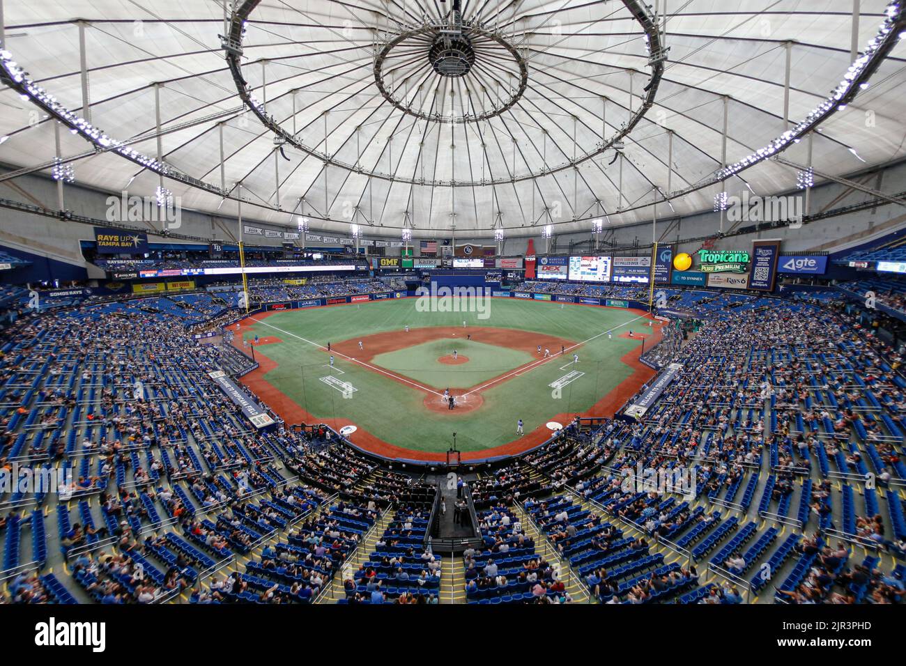 St. Petersburg, FL. USA; A general overall view during a major league ...