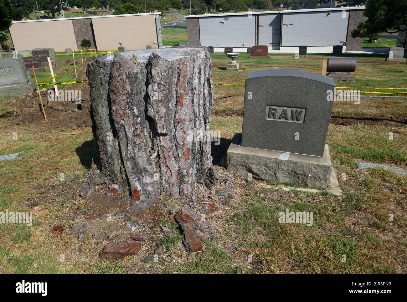 Inglewood, California, USA 19th August 2022 Tree Stump and Raw Grave at ...