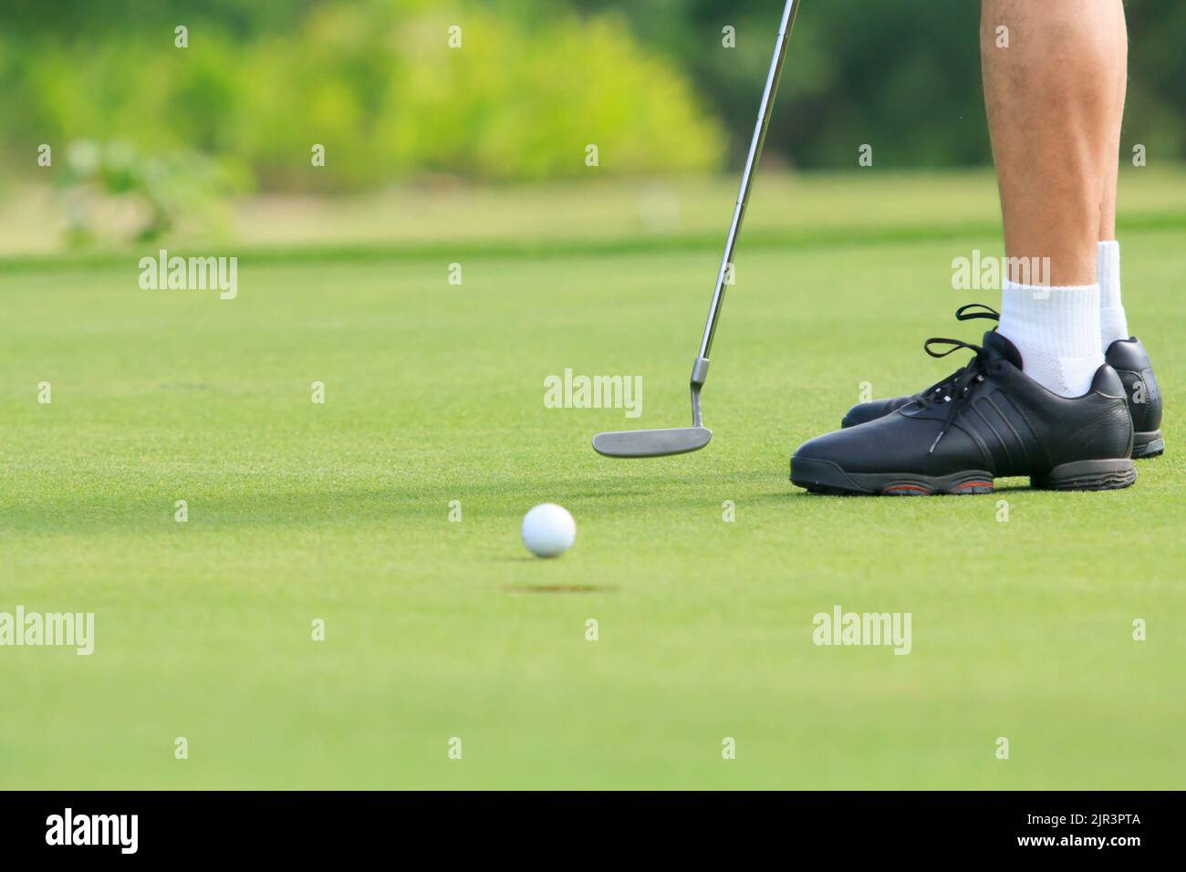 Golf man putting on green Stock Photo - Alamy