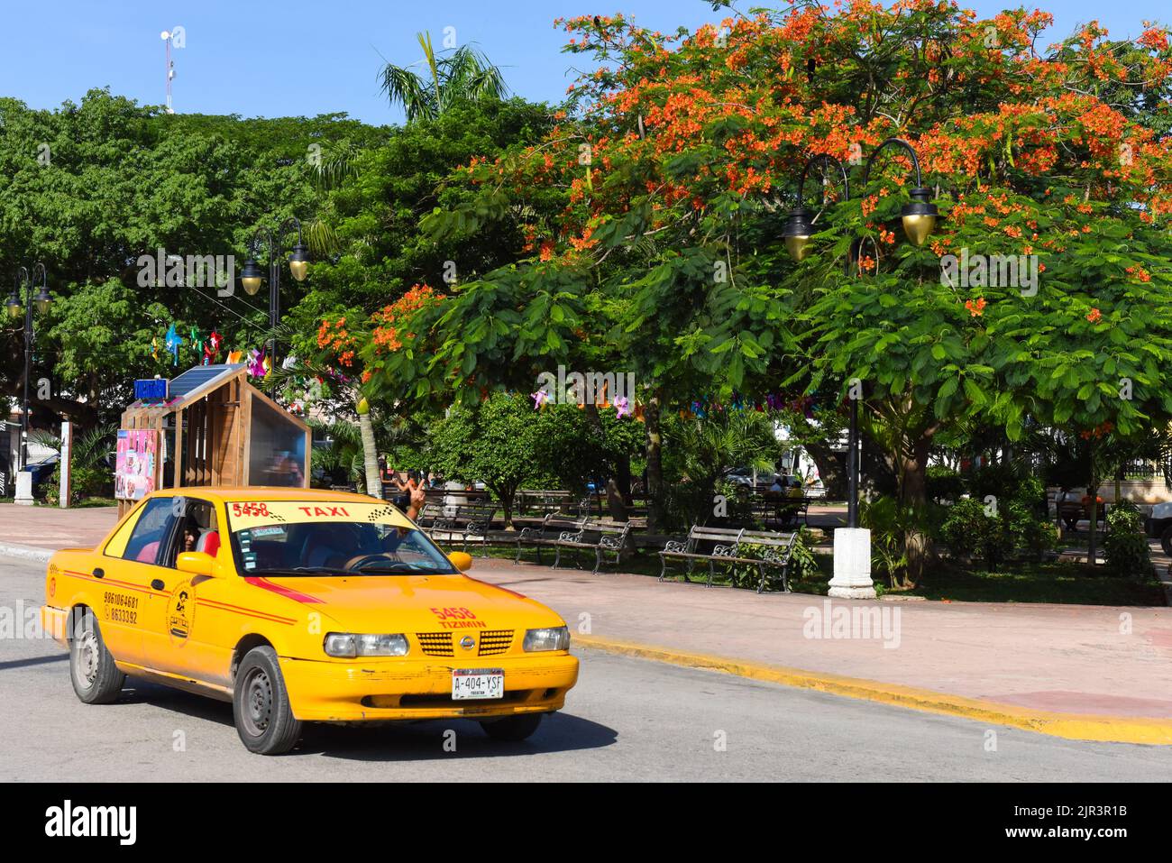 Tizimin yucatan hi-res stock photography and images - Alamy