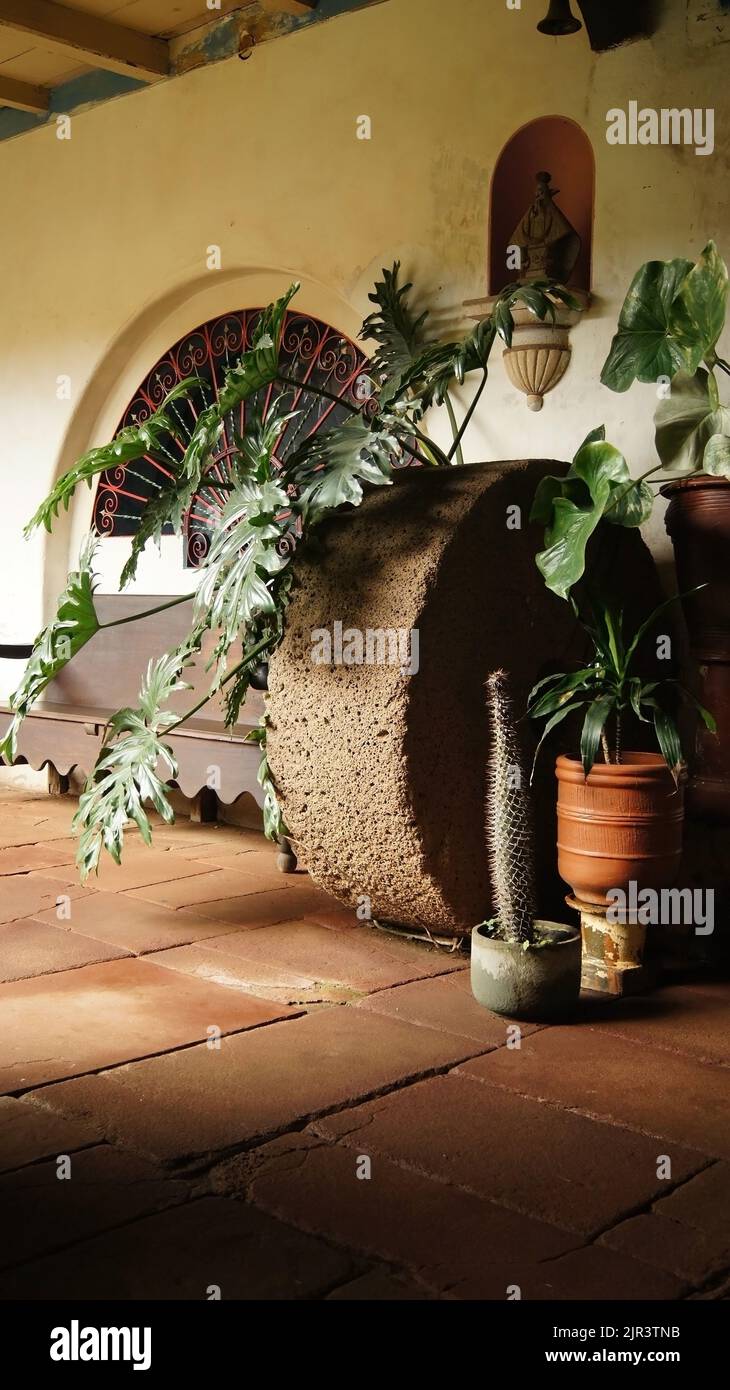stone wheel among pots and plants, in an old house in mexico latin ...