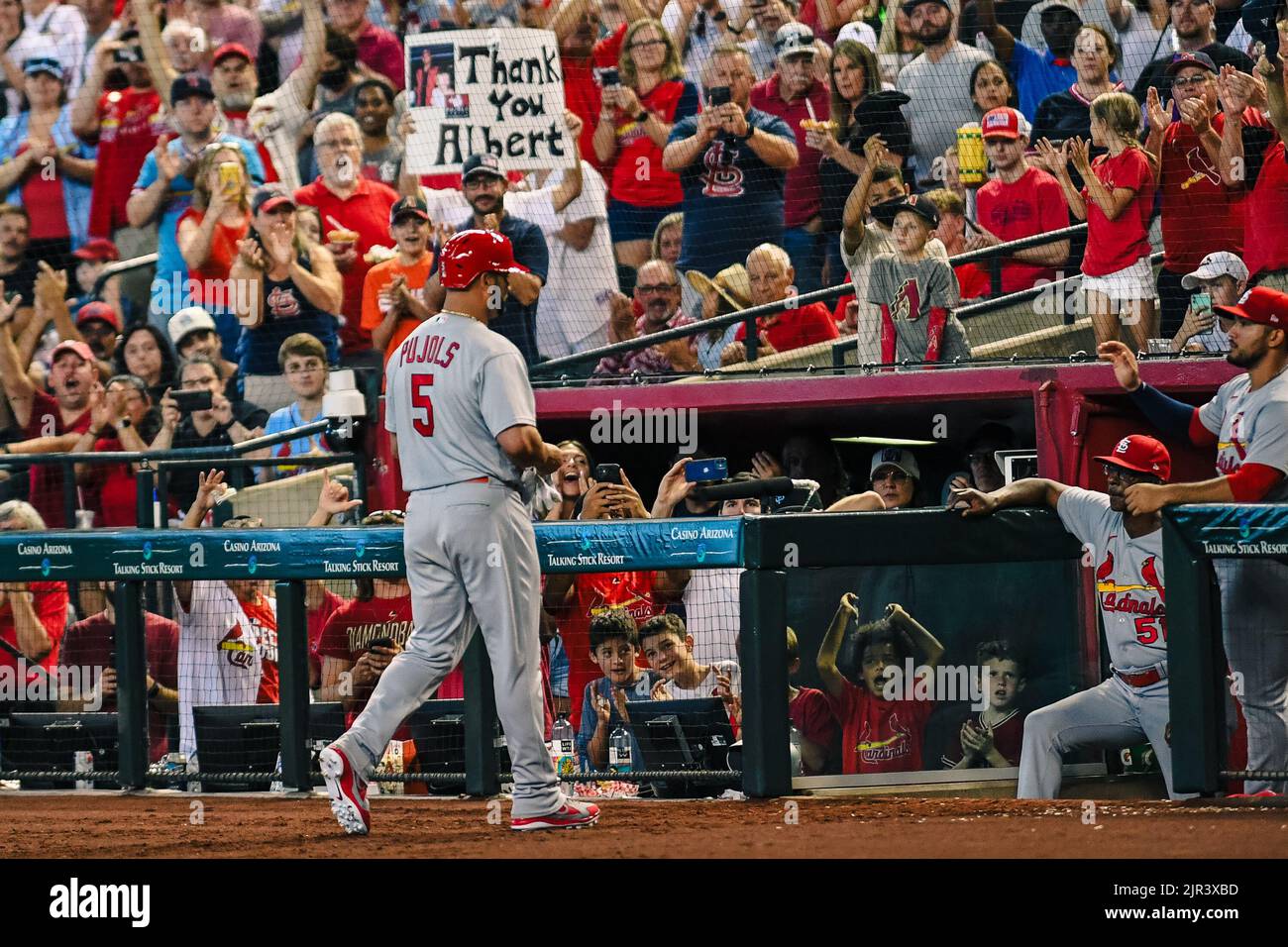 St. Louis Cardinals pinch hitter Albert Pujols (5) walks off the field ...