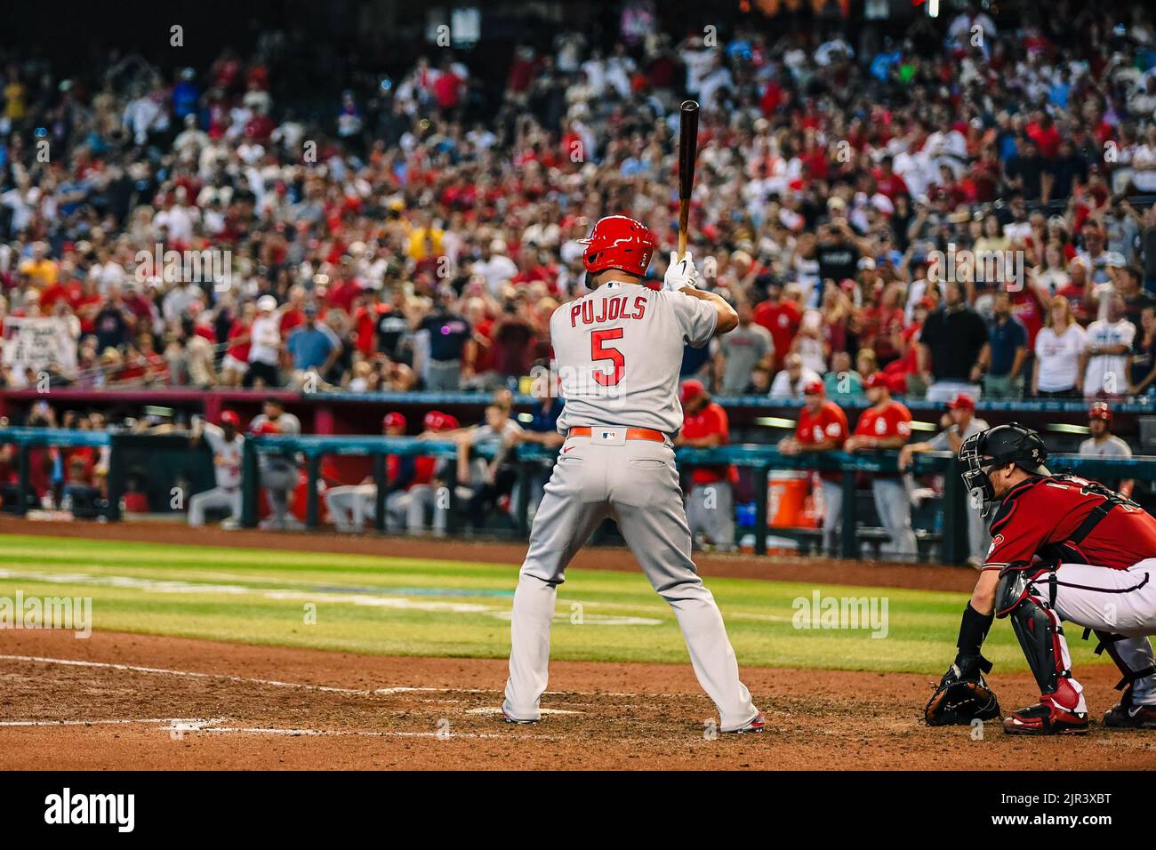 St. Louis Cardinals pinch hitter Albert Pujols (5) takes his stance in ...