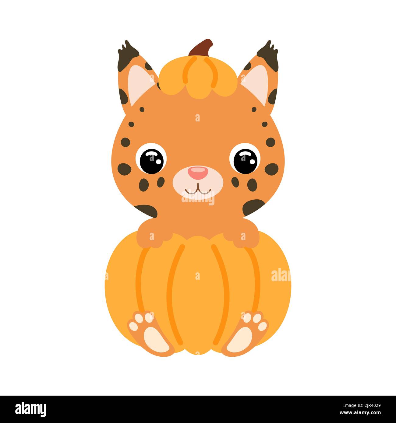 Cute little lynx sitting in a pumpkin. Cartoon animal character for ...
