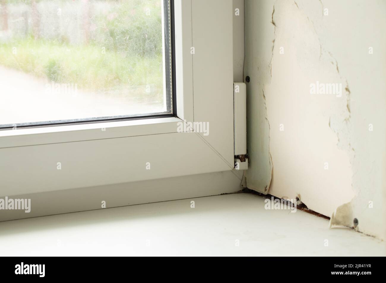 dirty window with a sill with mold from dampness, fungus on the window ...
