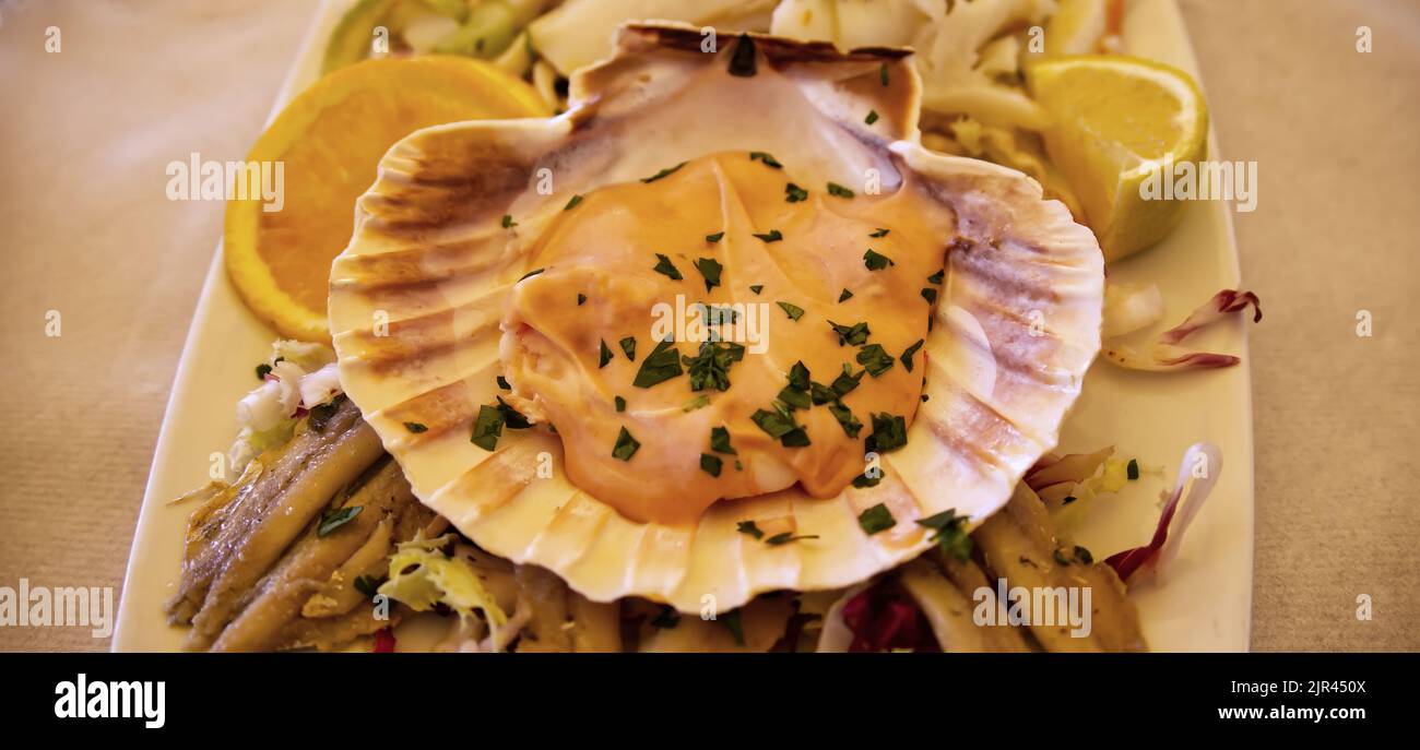 Italian appetizer of fish and seafood. Fresh Prawn Cocktail Stock Photo ...