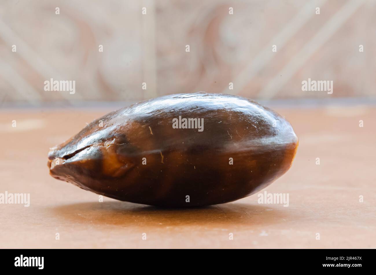 Mamey Sapote Seed Stock Photo - Alamy