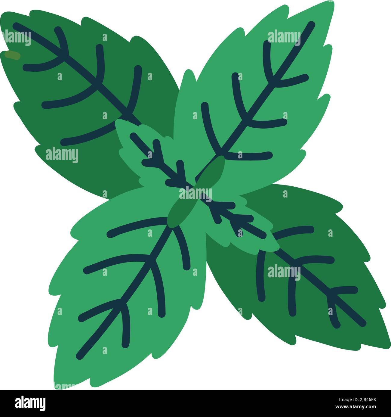 Spearmint green hi-res stock photography and images - Alamy