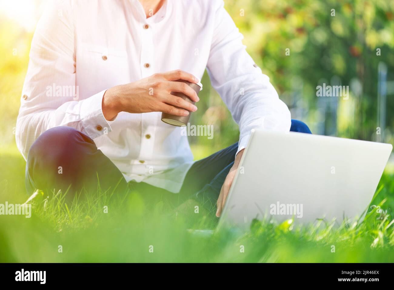 Businessman using laptop computer on green grass Stock Photo - Alamy