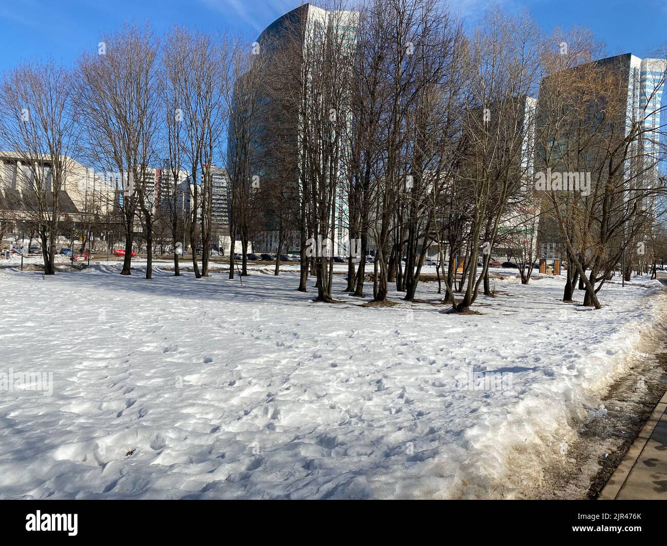 winter in city park at dry sunny day Stock Photo - Alamy