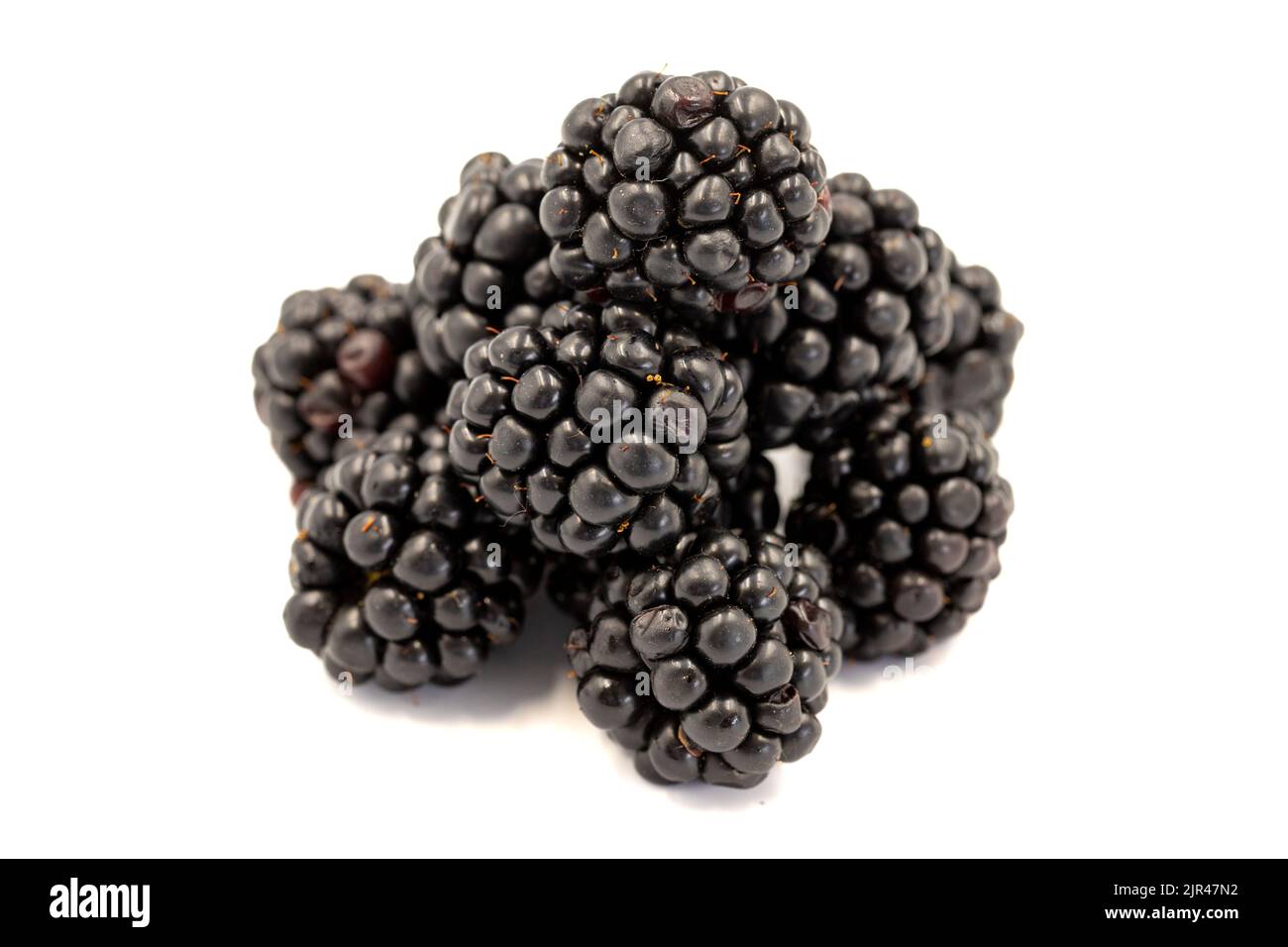 Black mulberry isolated on white background. Fresh and juicy black ...