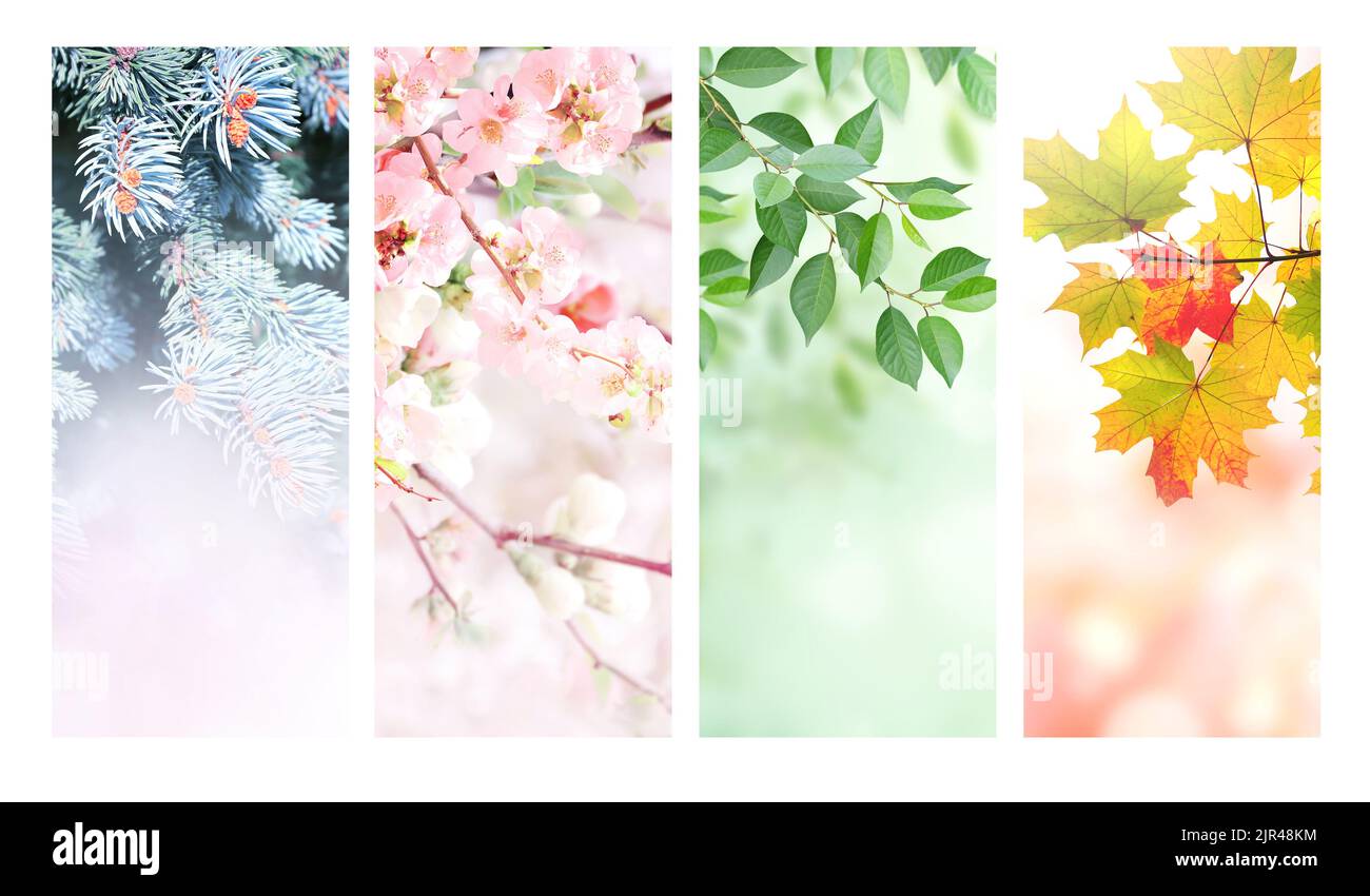 Four seasons of year. Set of vertical nature banners with winter ...