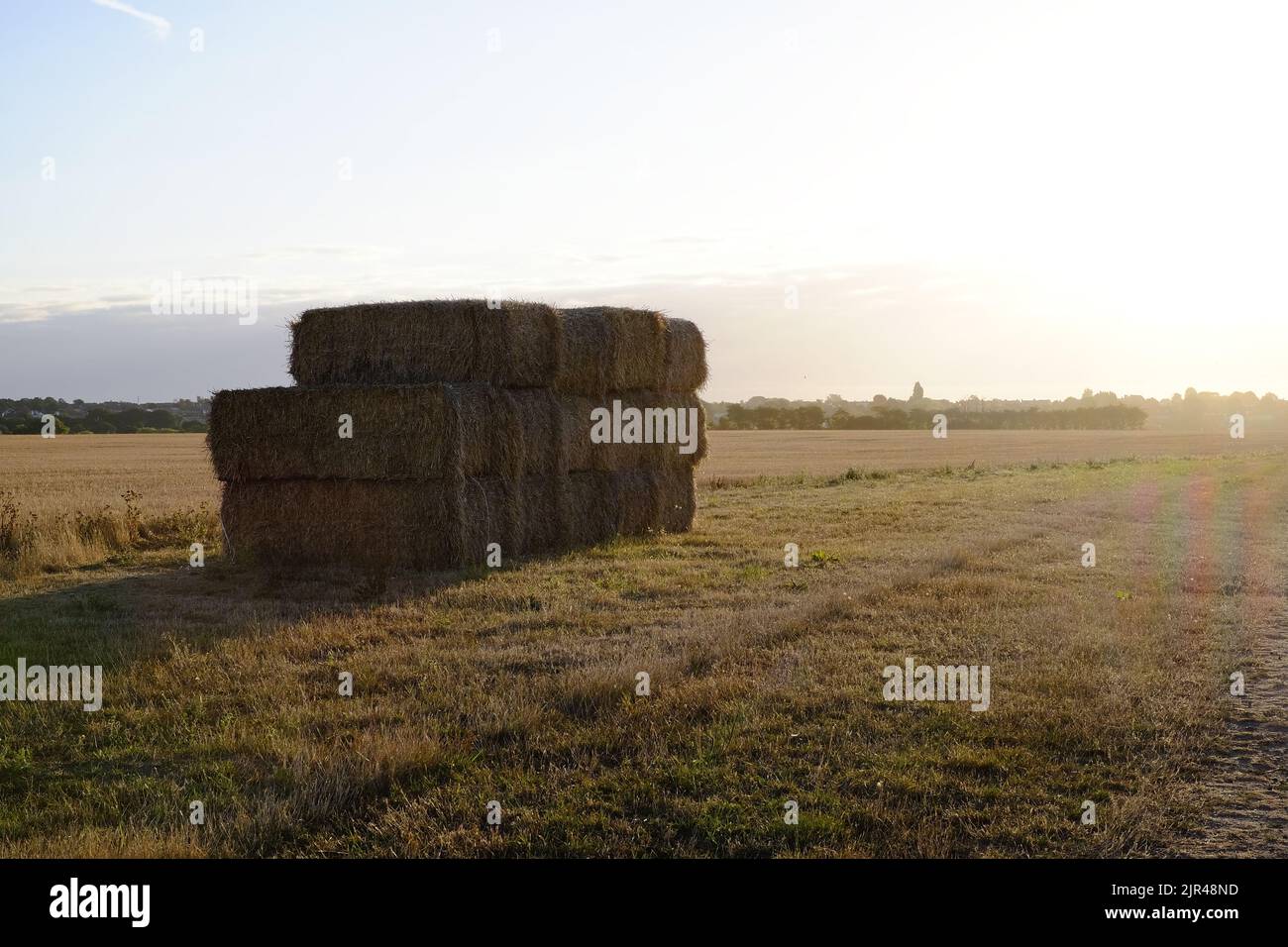 Pile of crops hi-res stock photography and images - Alamy