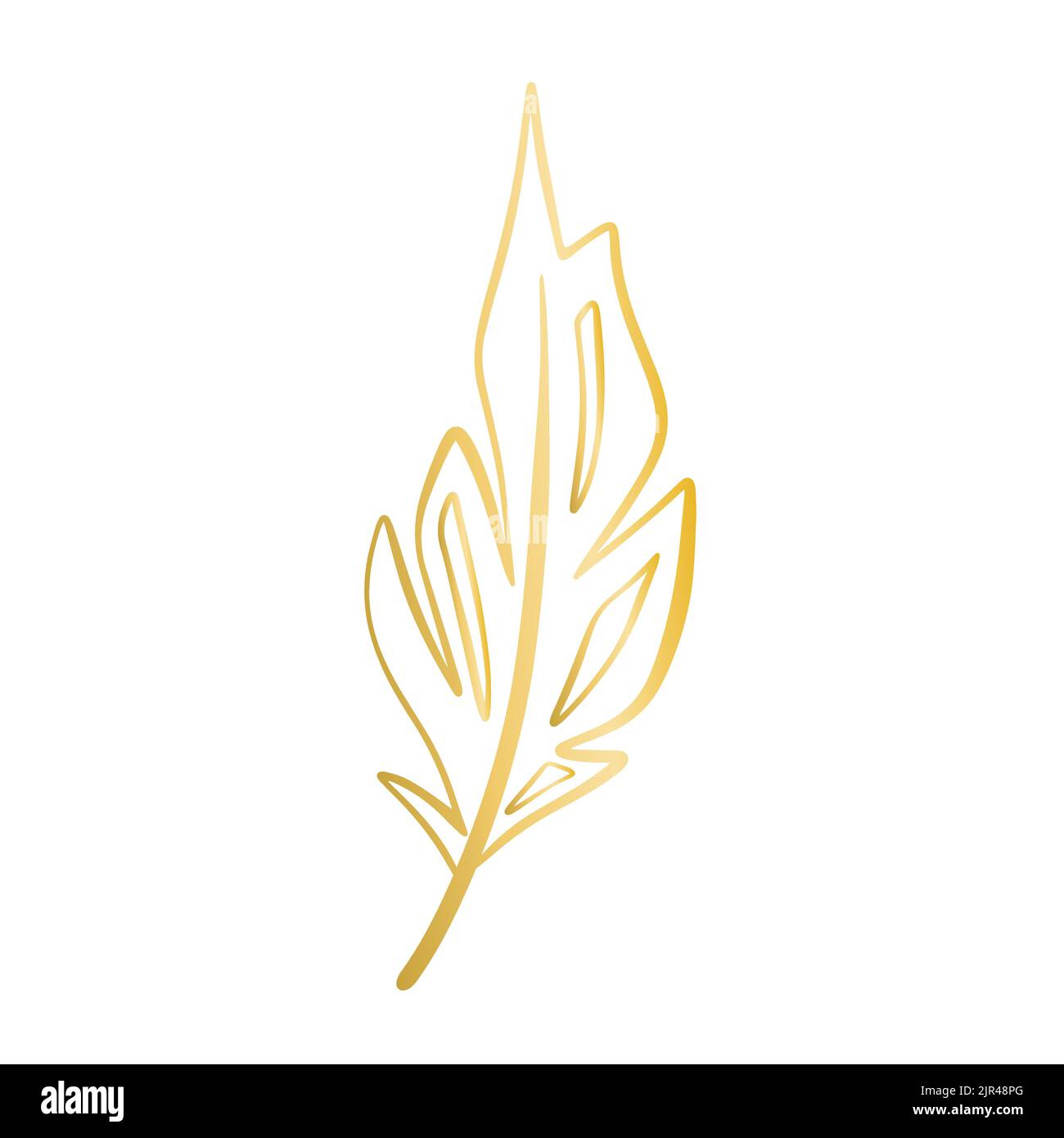 Golden decorative bird feather isolated vector illustration Stock ...