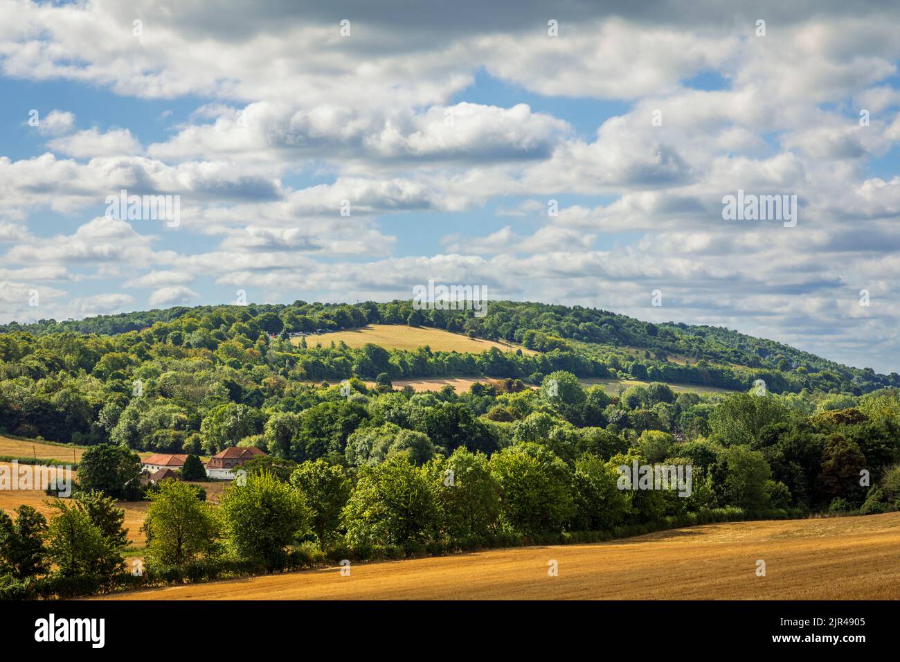 View of Rounds Hill on the Kent downs from Lullingstone Country Park ...
