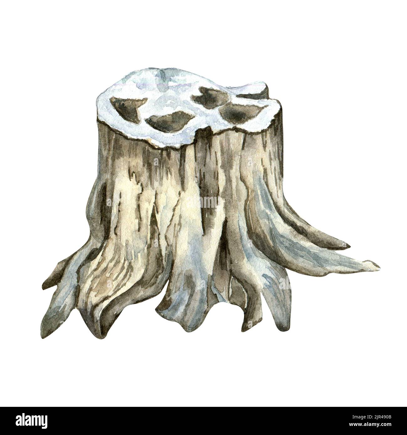 Tree Stump Illustration