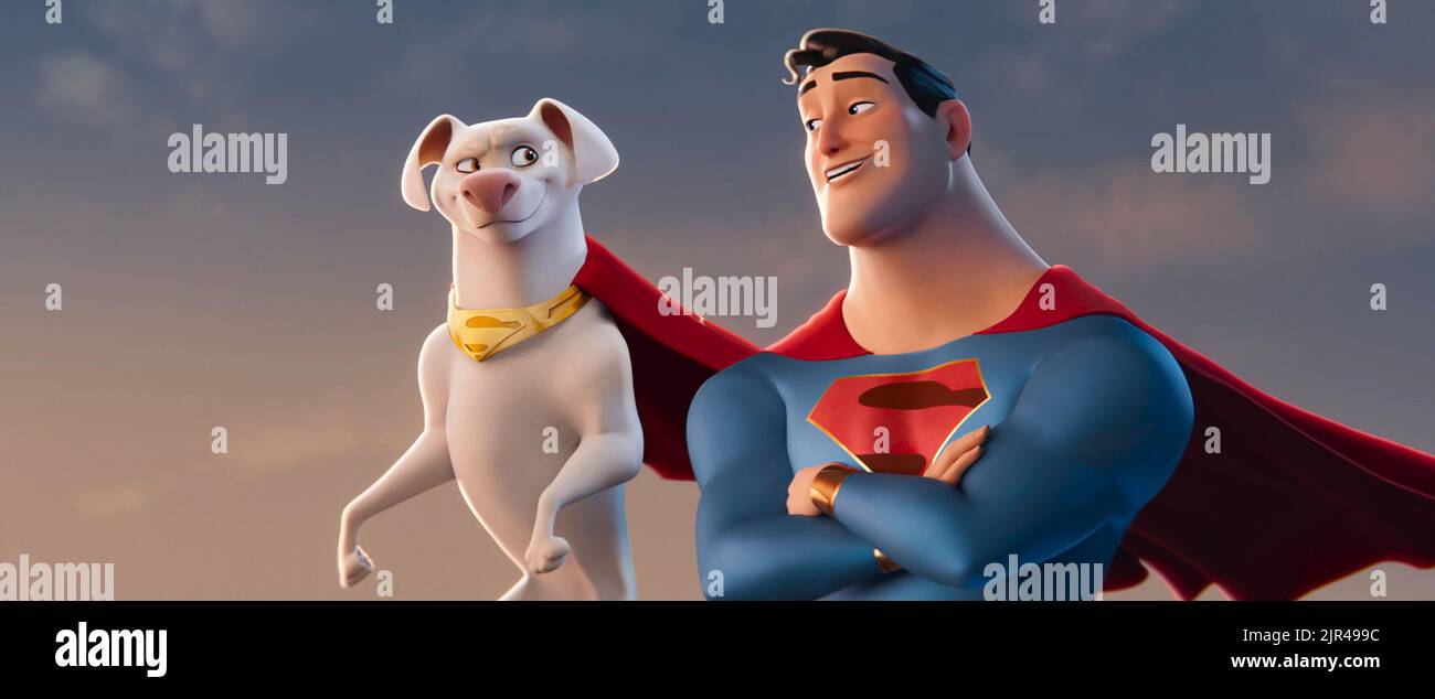 Superman dog hi-res stock photography and images - Alamy