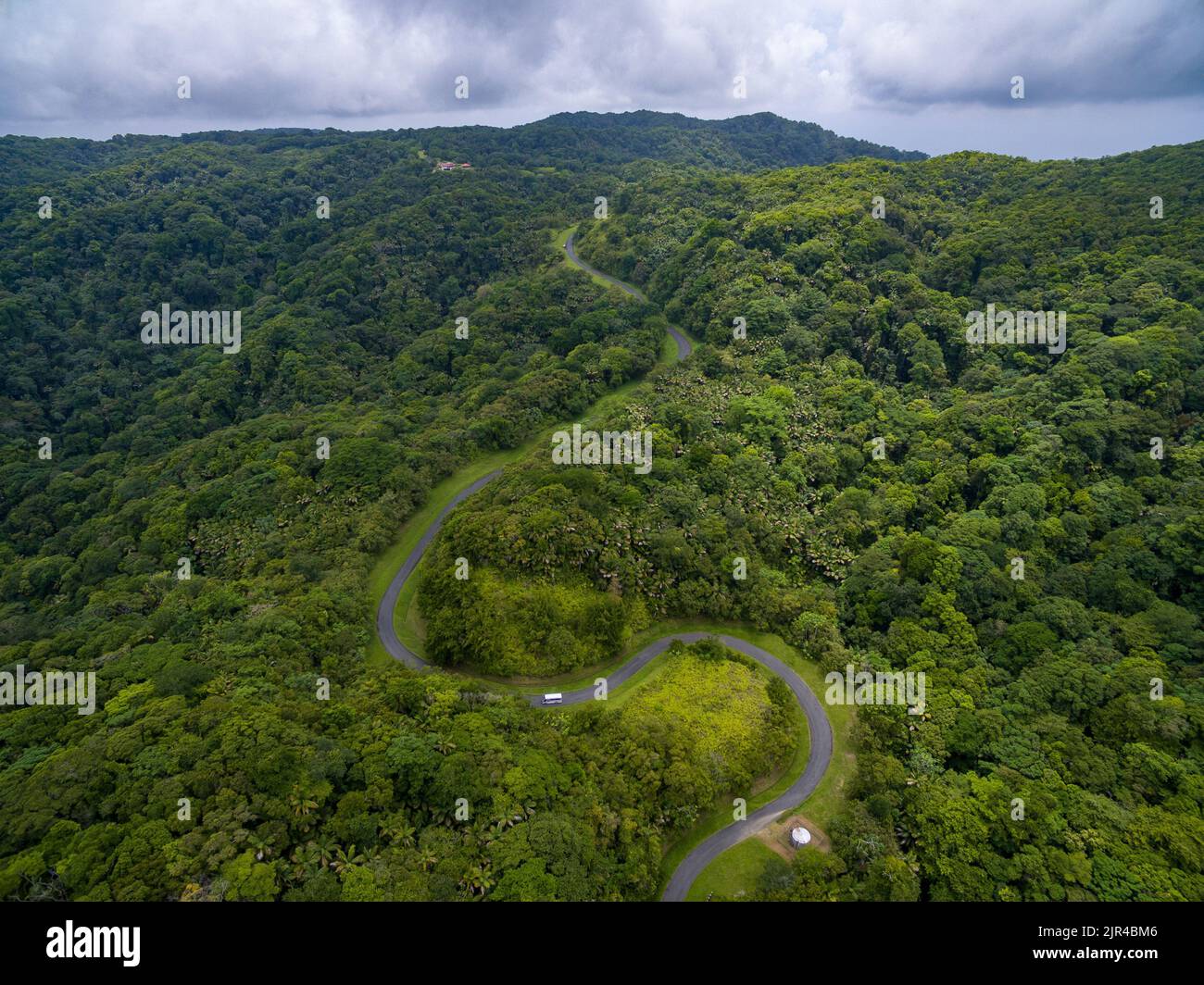 Road cutting through the Main Ridge Forest Reserve in UNESCO North-East ...