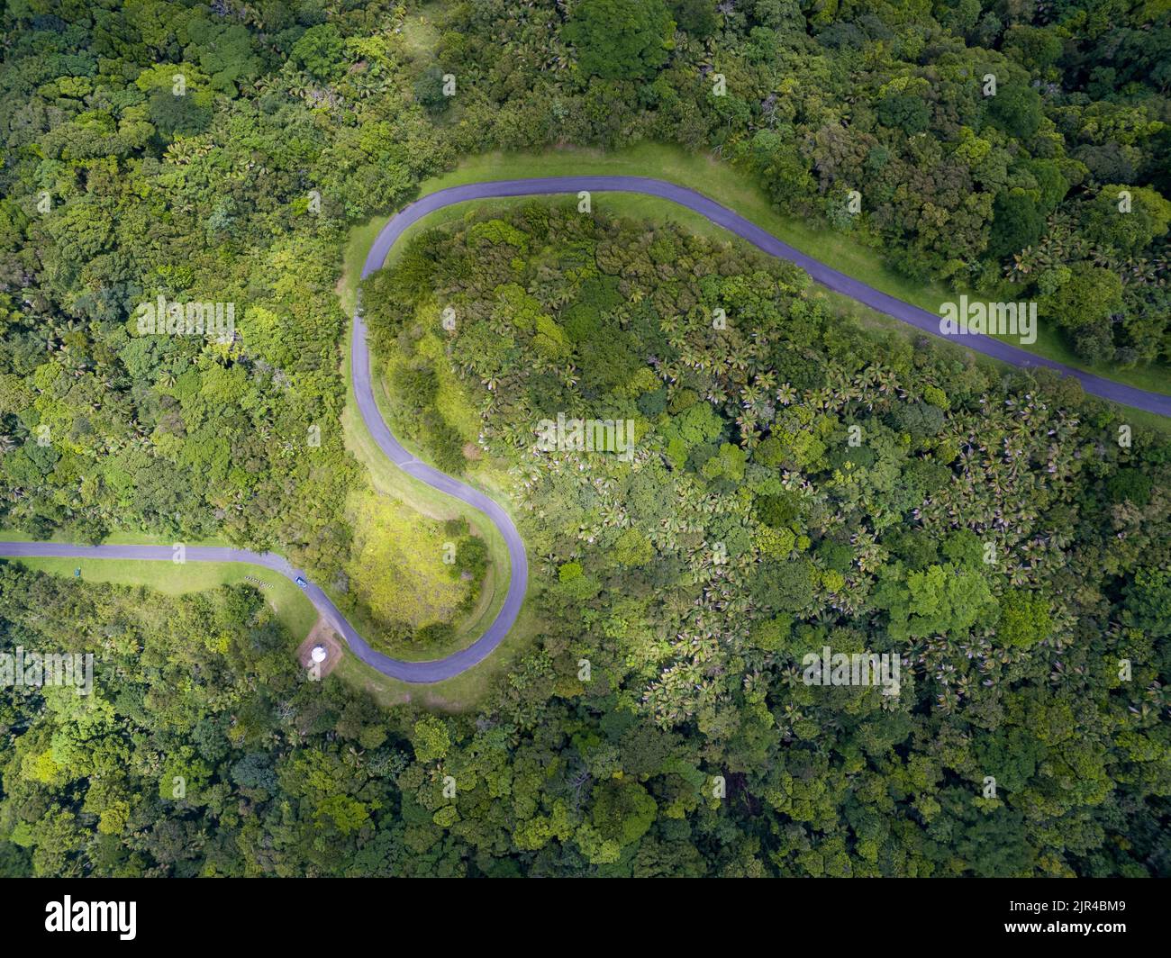 Road cutting through the Main Ridge Forest Reserve in UNESCO North-East ...
