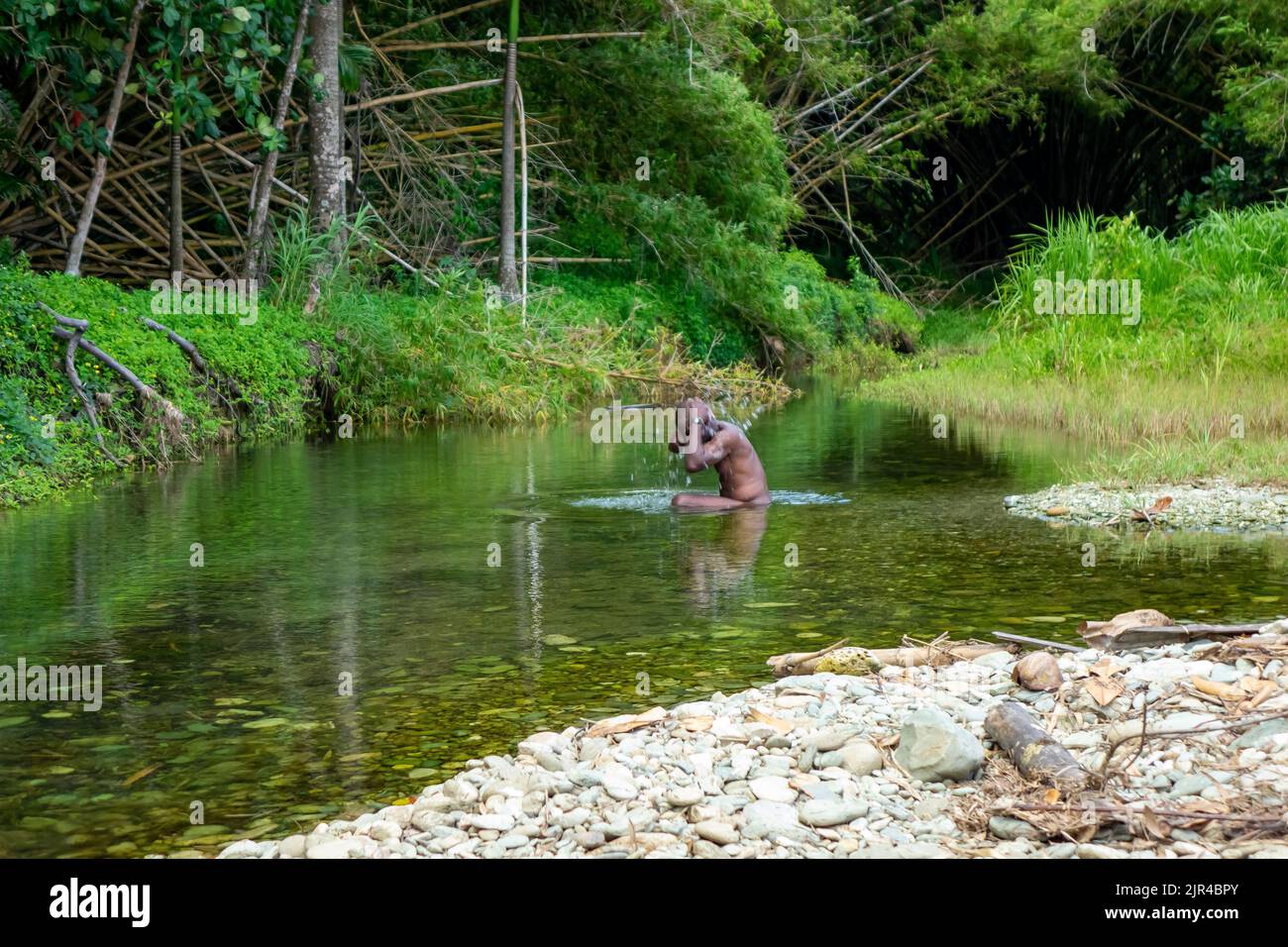 Cultural bath of man in a river in Tobago, Trinidad and Tobago West ...