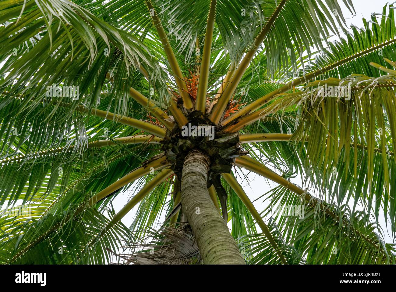 Kallang riverside park hi-res stock photography and images - Alamy