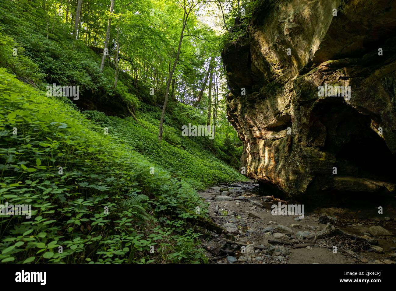 A huge rock formation in the middle of a forest Stock Photo - Alamy