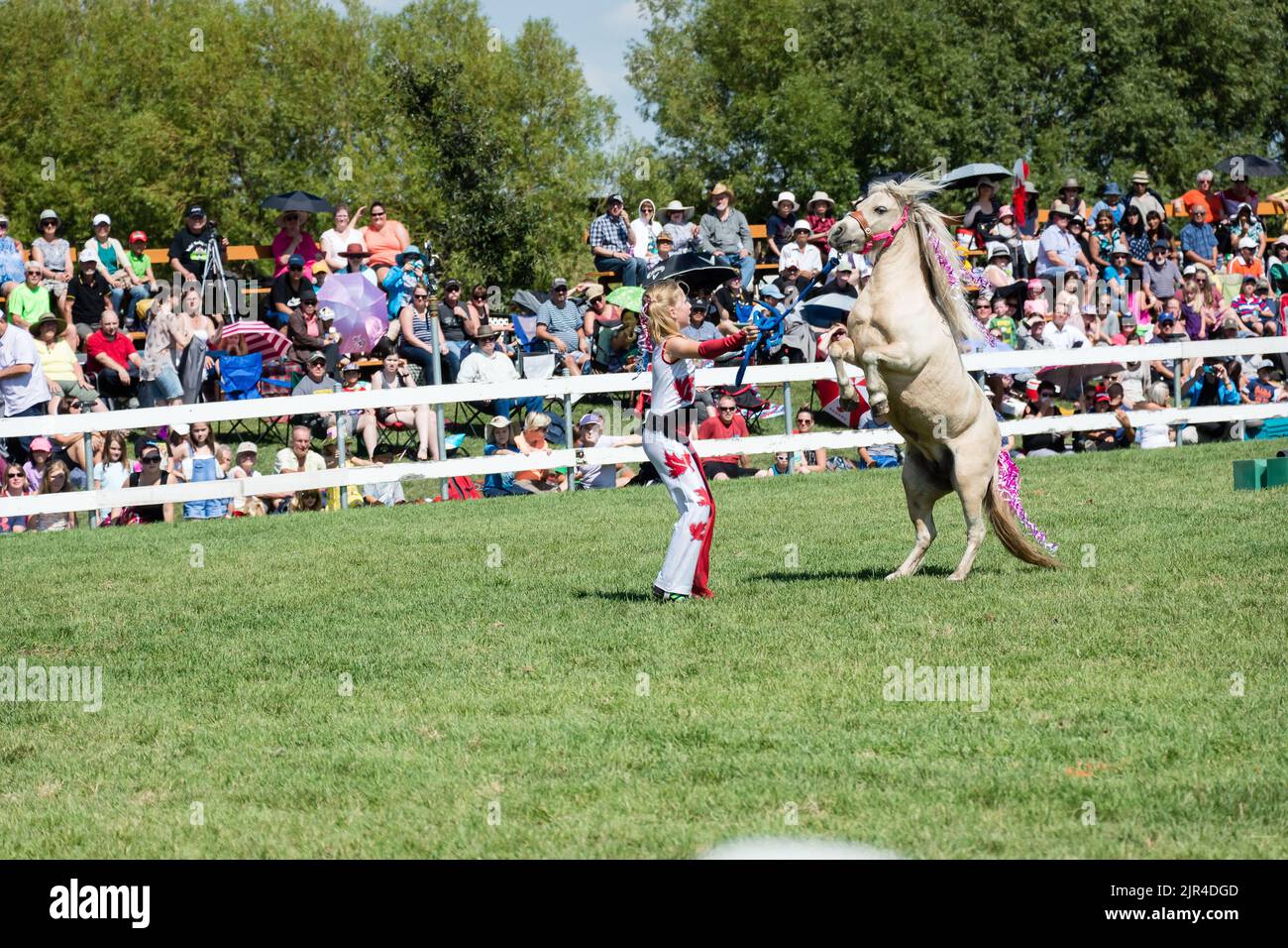 Human pony hi-res stock photography and images - Alamy