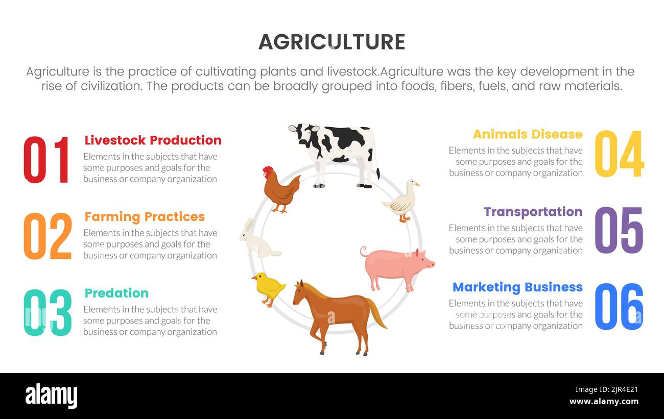 livestock cycle farming agriculture infographic concept for slide presentation with 6 point list ...