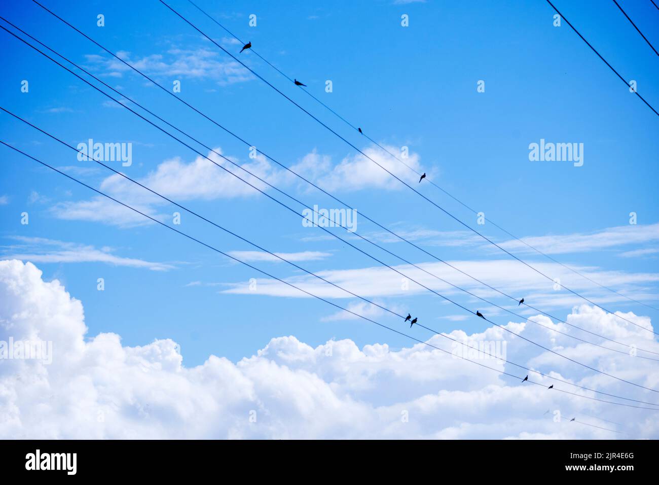 electricity post, chaotic wire with birds on wire and blue sky ...