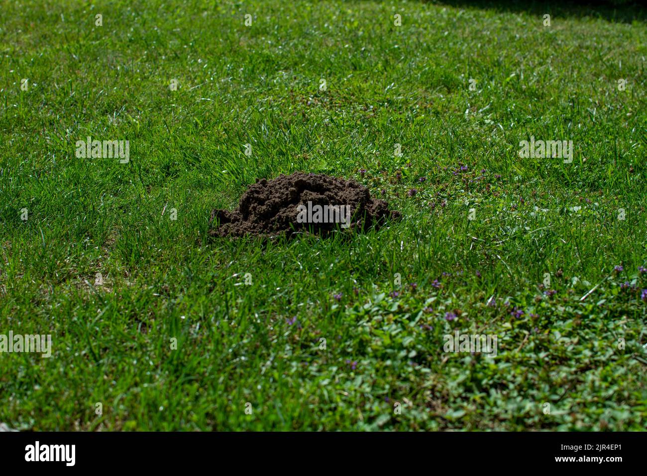 Earth mound garden hi-res stock photography and images - Alamy