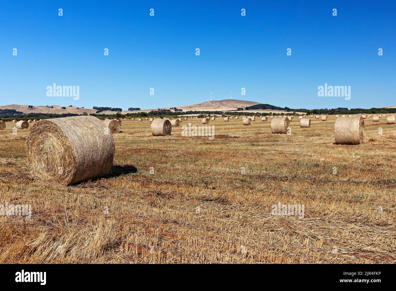 Australian cropping hi-res stock photography and images - Alamy