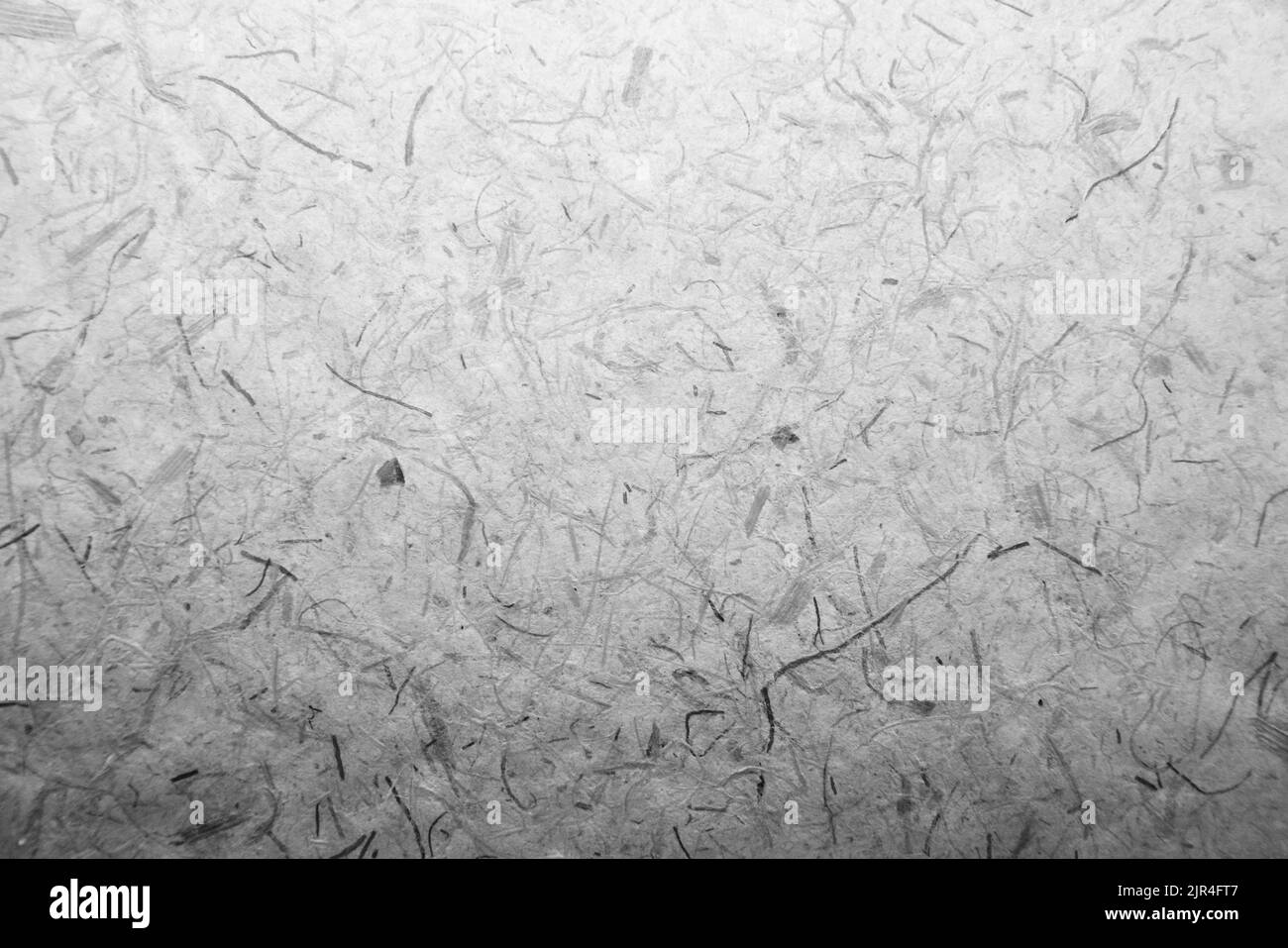 mulberry paper black and white background Stock Photo - Alamy