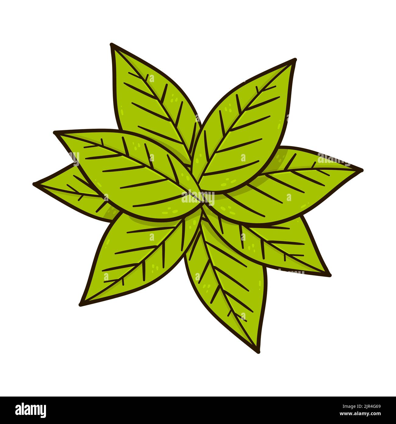 Hand drawing green leaf vector Stock Vector Image & Art - Alamy