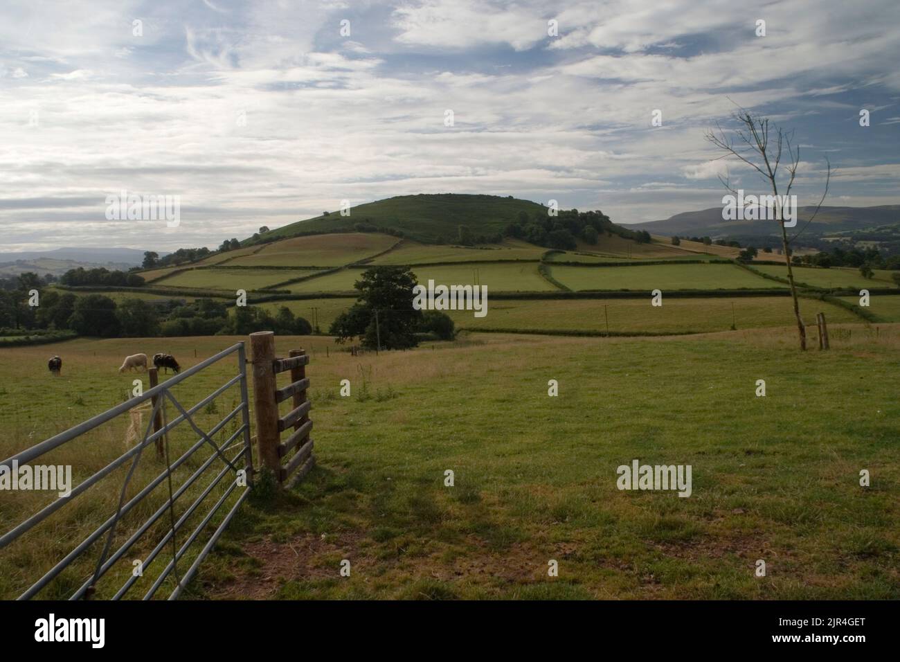 Crug hi-res stock photography and images - Alamy