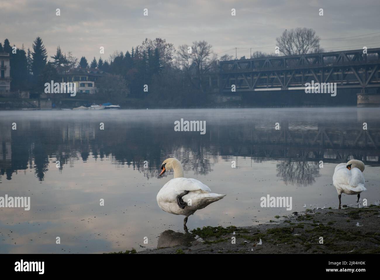 Fiume sesto Calende Stock Photo - Alamy