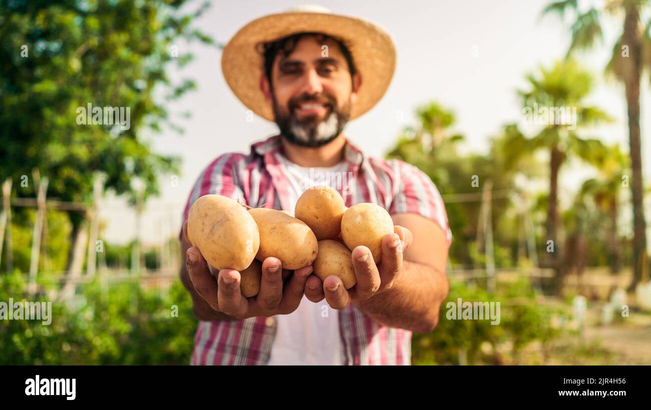 Portrait of a modern bearded farmer man with potatoes on hands looking ...