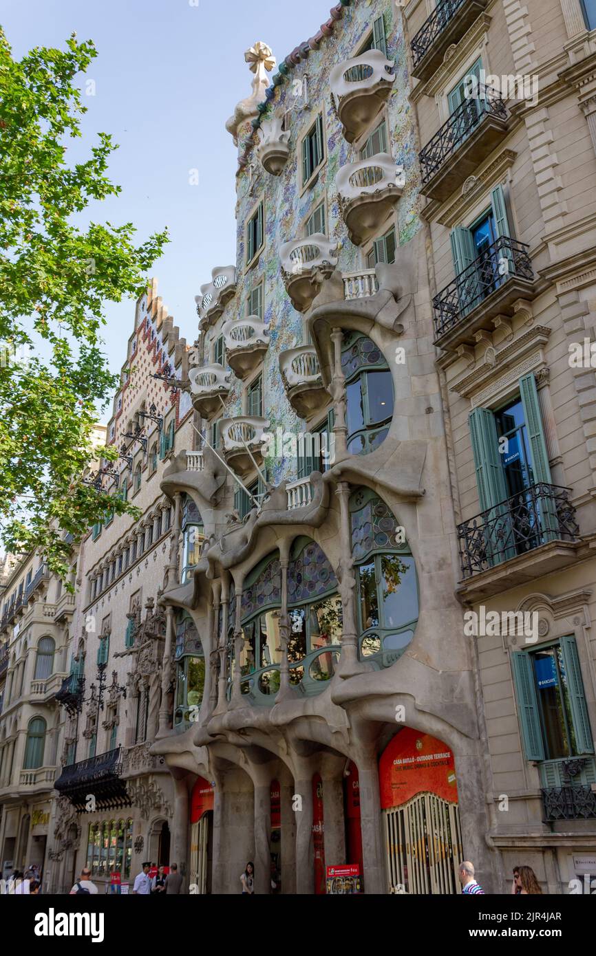 A vertical shot of the dragon building (Casa Batllo) by Gaudi in ...