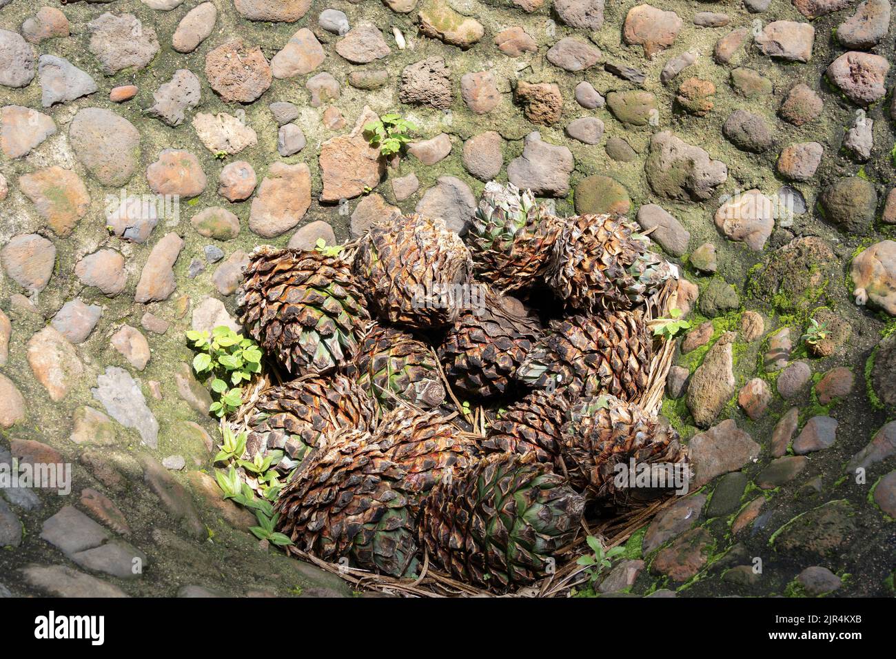 Field ovens hi-res stock photography and images - Alamy