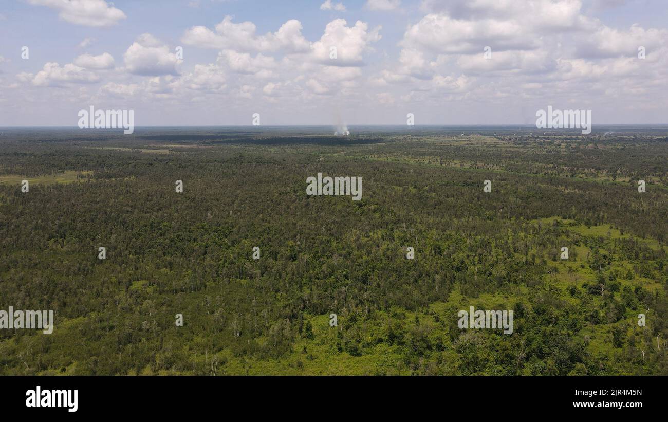 Aerial view secondary forest hi-res stock photography and images - Alamy