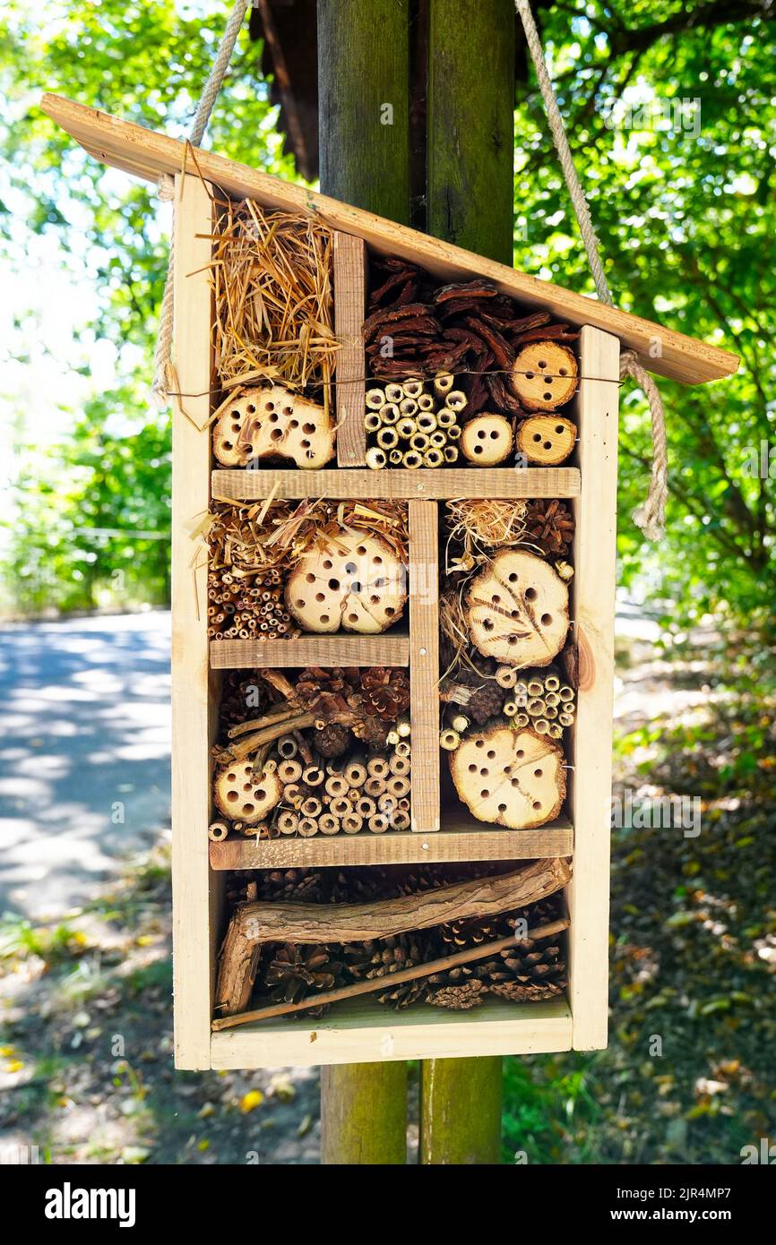 insect hotel. wooden insect house hanging from tree Stock Photo - Alamy