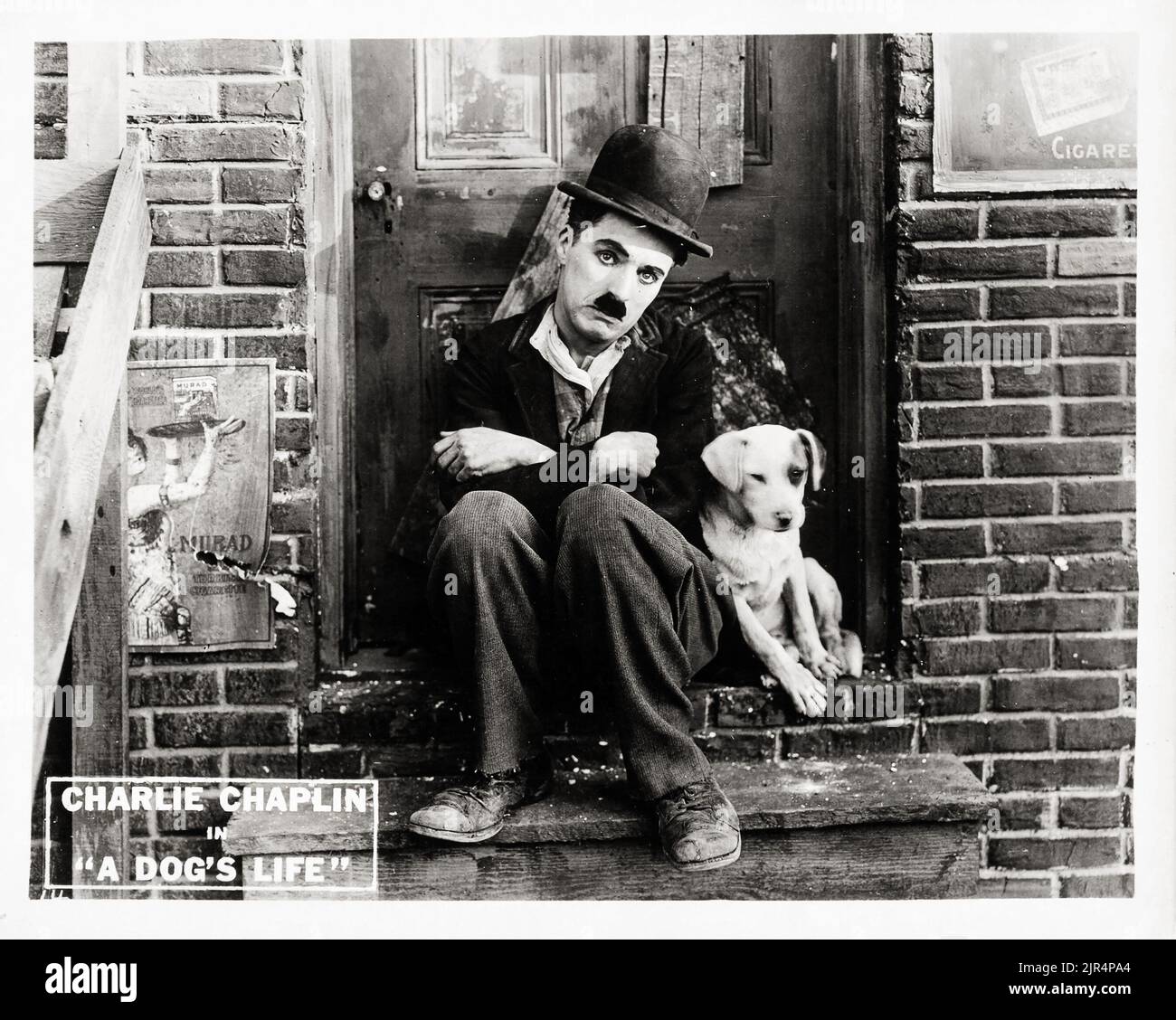 Charlie Chaplin A Dog's Life (First National, 1918 Stock Photo - Alamy