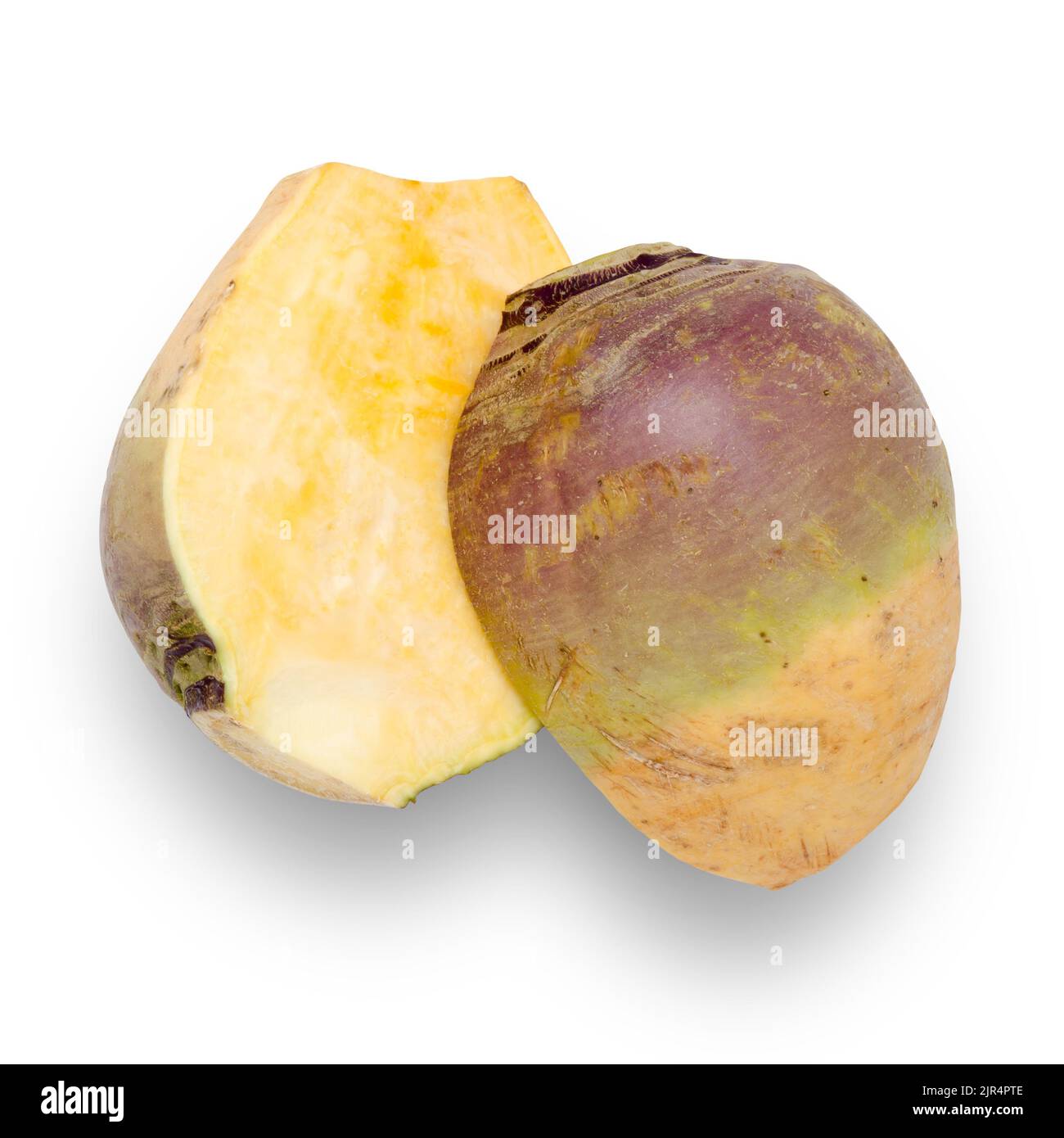 Swede vegetable cut in half isolated on white with clipping path cut ...