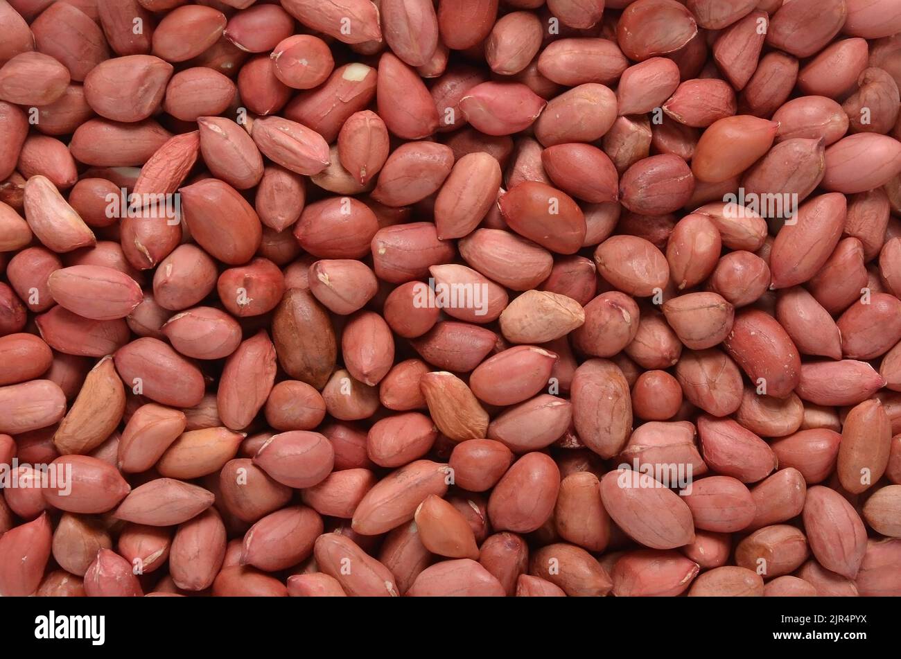 Closeup of redskin nuts background Stock Photo - Alamy