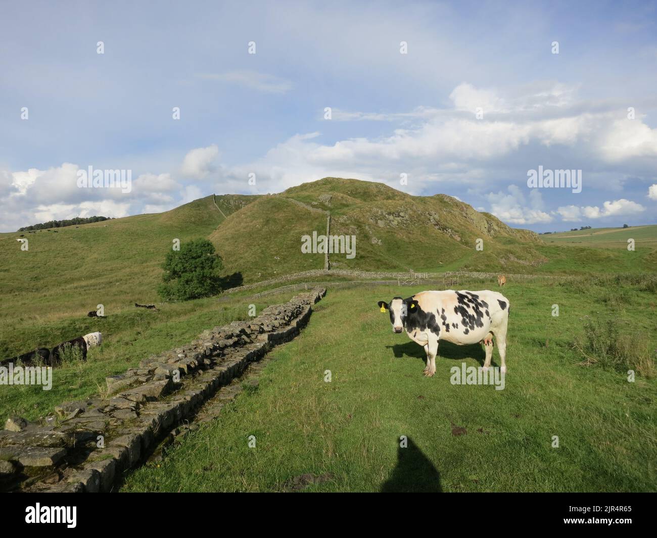 The Pennine Way National Trail Long-distance hiking trail. England. UK ...