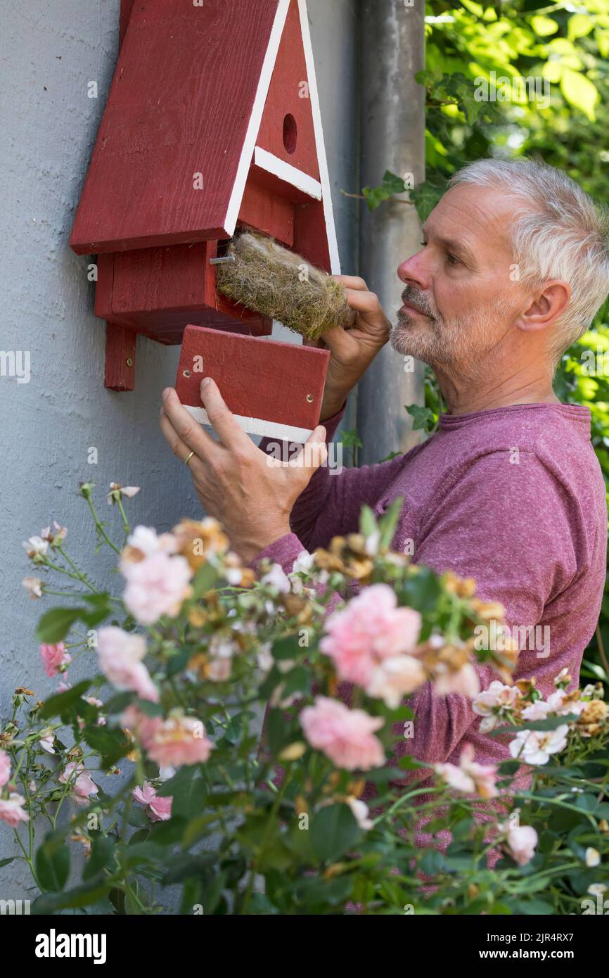 Removing old nest hi-res stock photography and images - Alamy